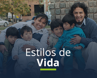 Características de los Estilos de Vida – Consultora Arellano